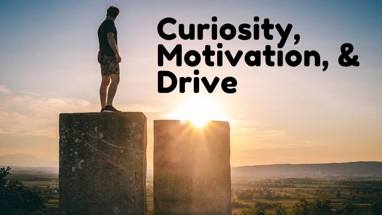Curiosity, Motivation, and Drive - Diane Hamilton